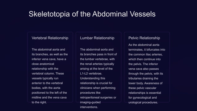 Clinical anatomy of the retroperitoneal space. Vessels and nerves of ...