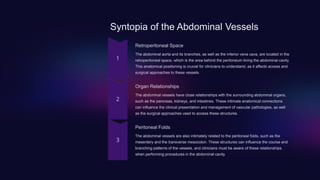 Clinical anatomy of the retroperitoneal space. Vessels and nerves of ...