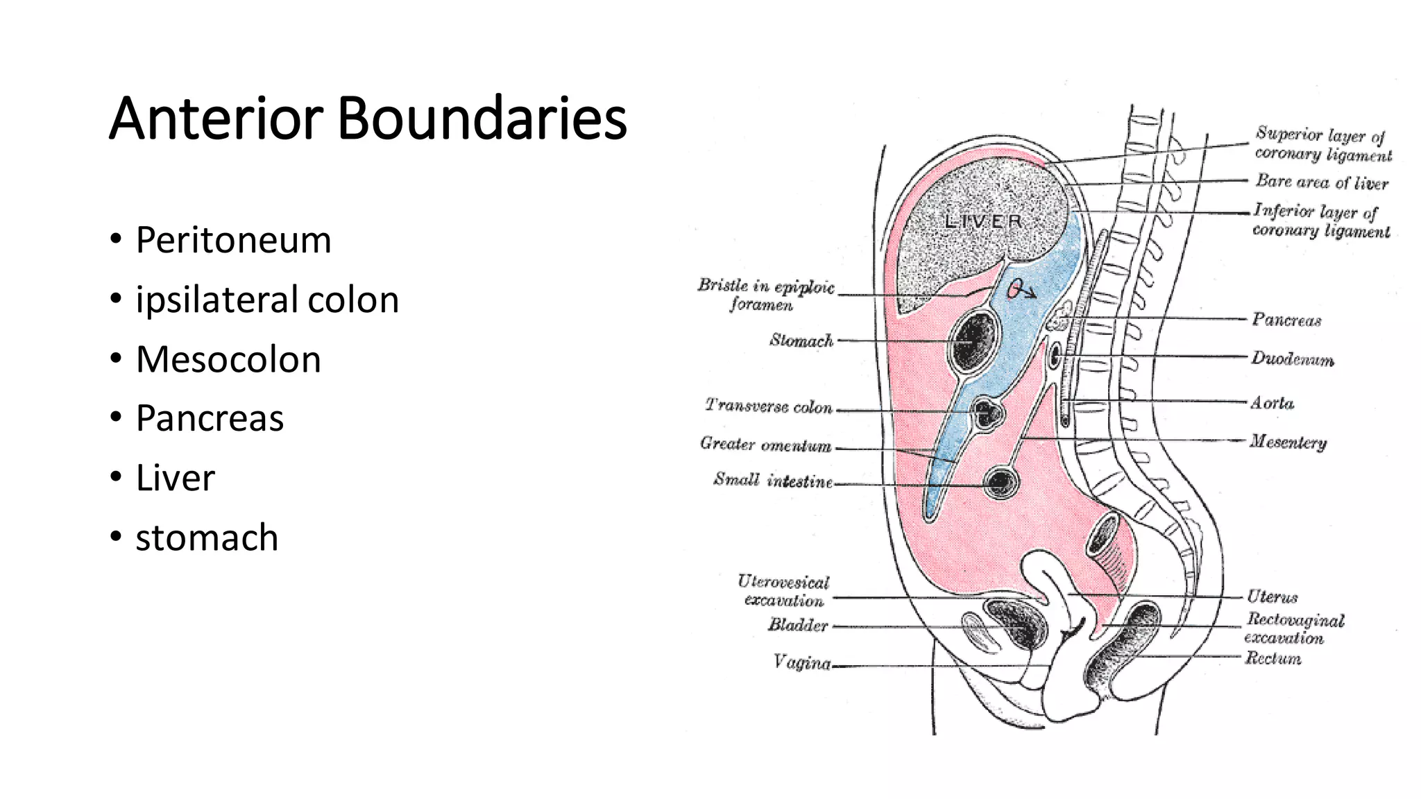 retroperitoneal tumors by ASM Minds Team .pdf
