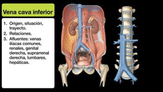 Retroperitoneo | PDF