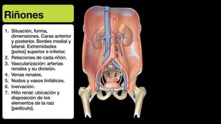 Retroperitoneo | PDF