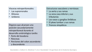 ORGANOS, DIVISION Y LIMITES DEL RETROPERITONEO.pptx