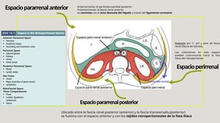 ecografia y anatomia del RETROPERITONEo.pptx
