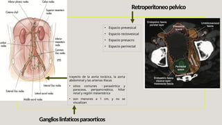 ecografia y anatomia del RETROPERITONEo.pptx