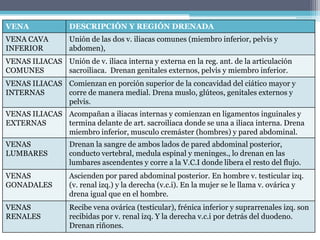 Retroperitoneo medial | PPTX
