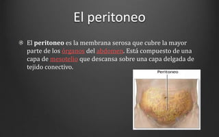 Retroperitoneo urologia | PPTX