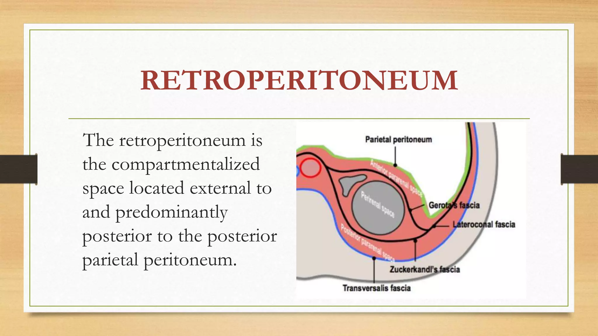 Retroperitoneum | PPTX