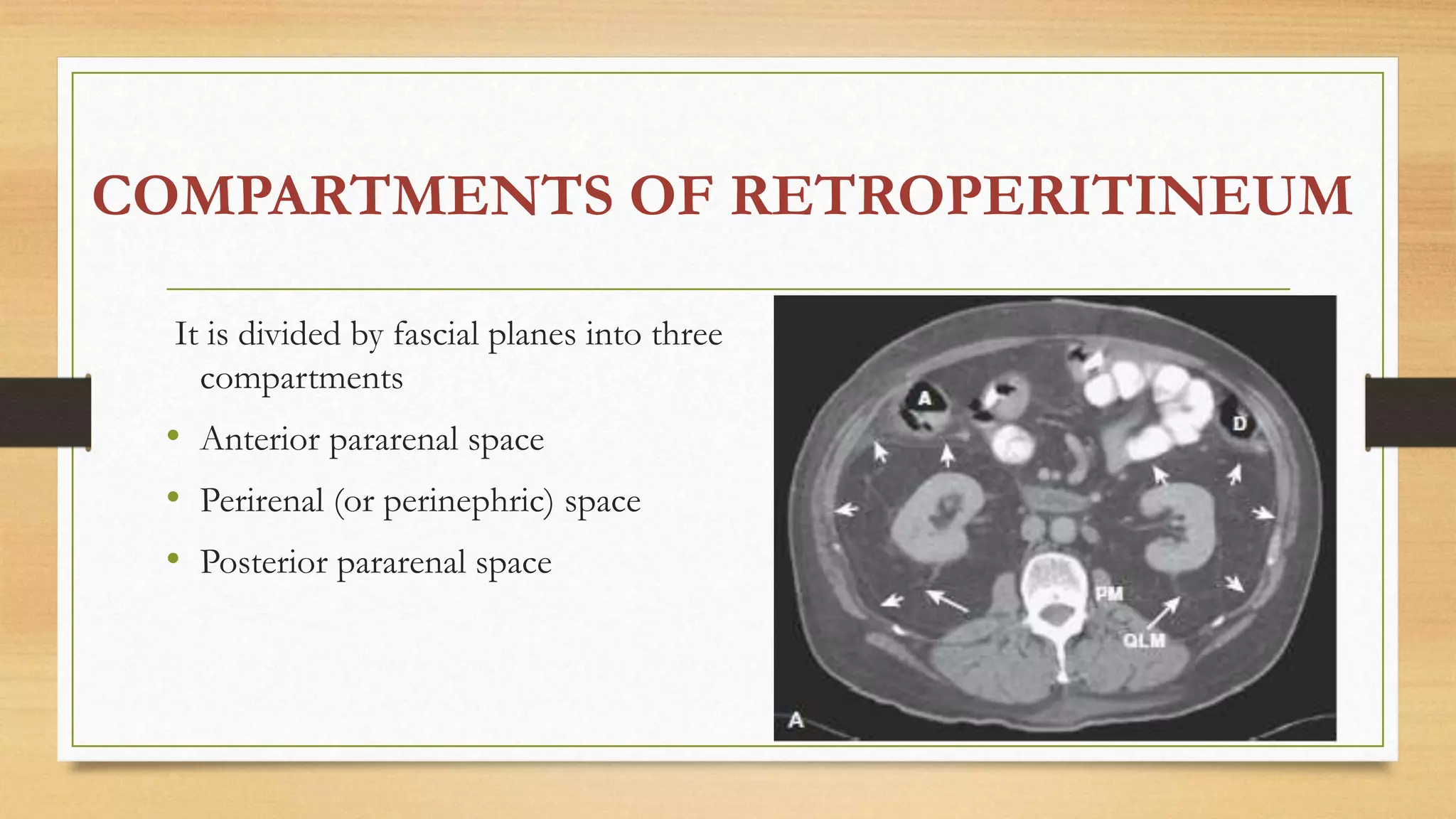 Retroperitoneum | PPTX