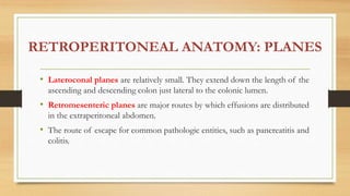 Retroperitoneum | PPTX