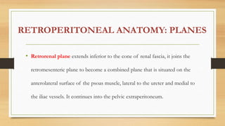 Retroperitoneum | PPTX