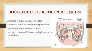 Retroperitoneum | PPTX