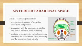 Retroperitoneum | PPTX
