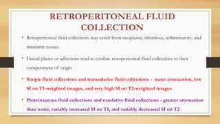 Retroperitoneum | PPTX