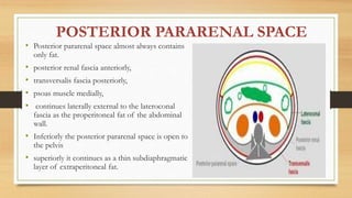 Retroperitoneum | PPTX