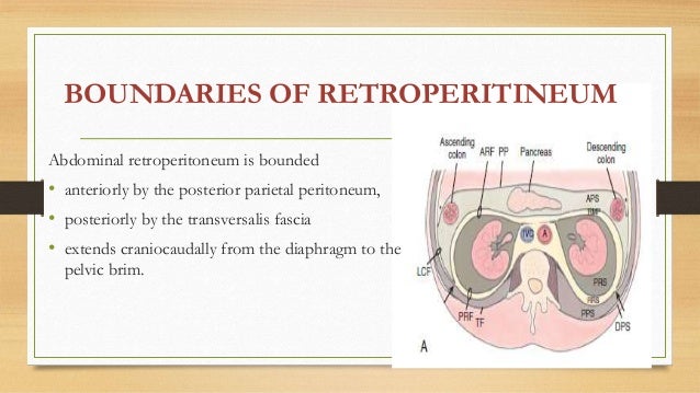 Retroperitoneum