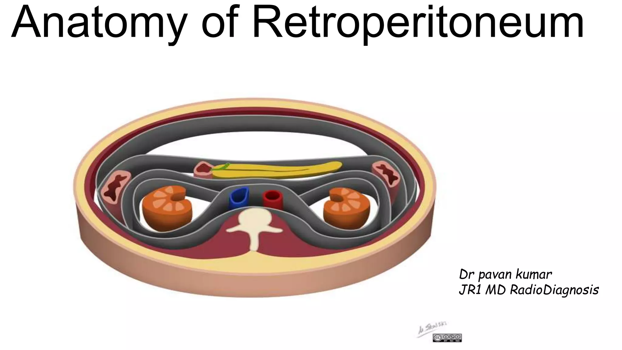 Anatomy of Retroperitoneum. | PPTX