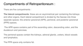 Anatomy of Retroperitoneum. | PPTX