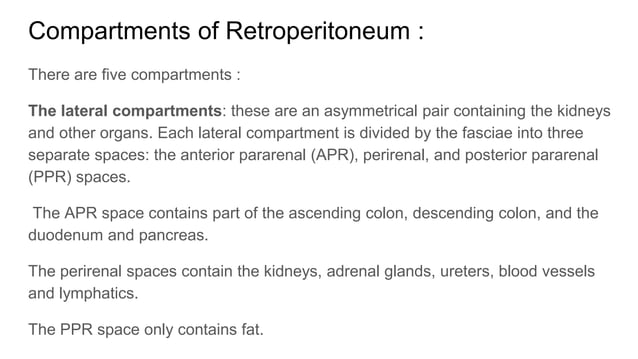 Anatomy of Retroperitoneum. | PPTX