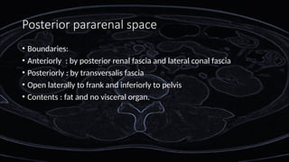 Retroperitoneum anatomy by Dr. A.Sabith Meeran , MD Radiodiagnosis | PPTX
