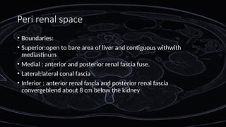 Retroperitoneum anatomy by Dr. A.Sabith Meeran , MD Radiodiagnosis | PPTX