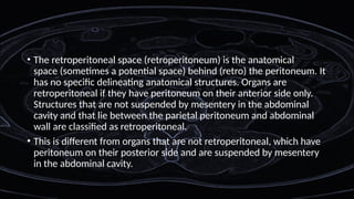 Retroperitoneum anatomy by Dr. A.Sabith Meeran , MD Radiodiagnosis | PPTX