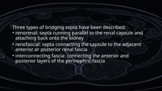 Retroperitoneum anatomy by Dr. A.Sabith Meeran , MD Radiodiagnosis | PPTX