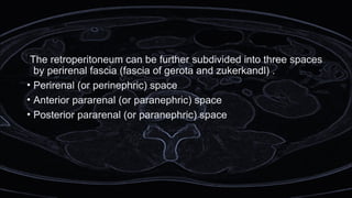 Retroperitoneum anatomy by Dr. A.Sabith Meeran , MD Radiodiagnosis | PPTX