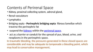 retroperitoneum anatomy radiology (3).pptx