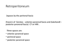 retroperitoneum anatomy radiology (3).pptx