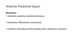 retroperitoneum anatomy radiology (3).pptx