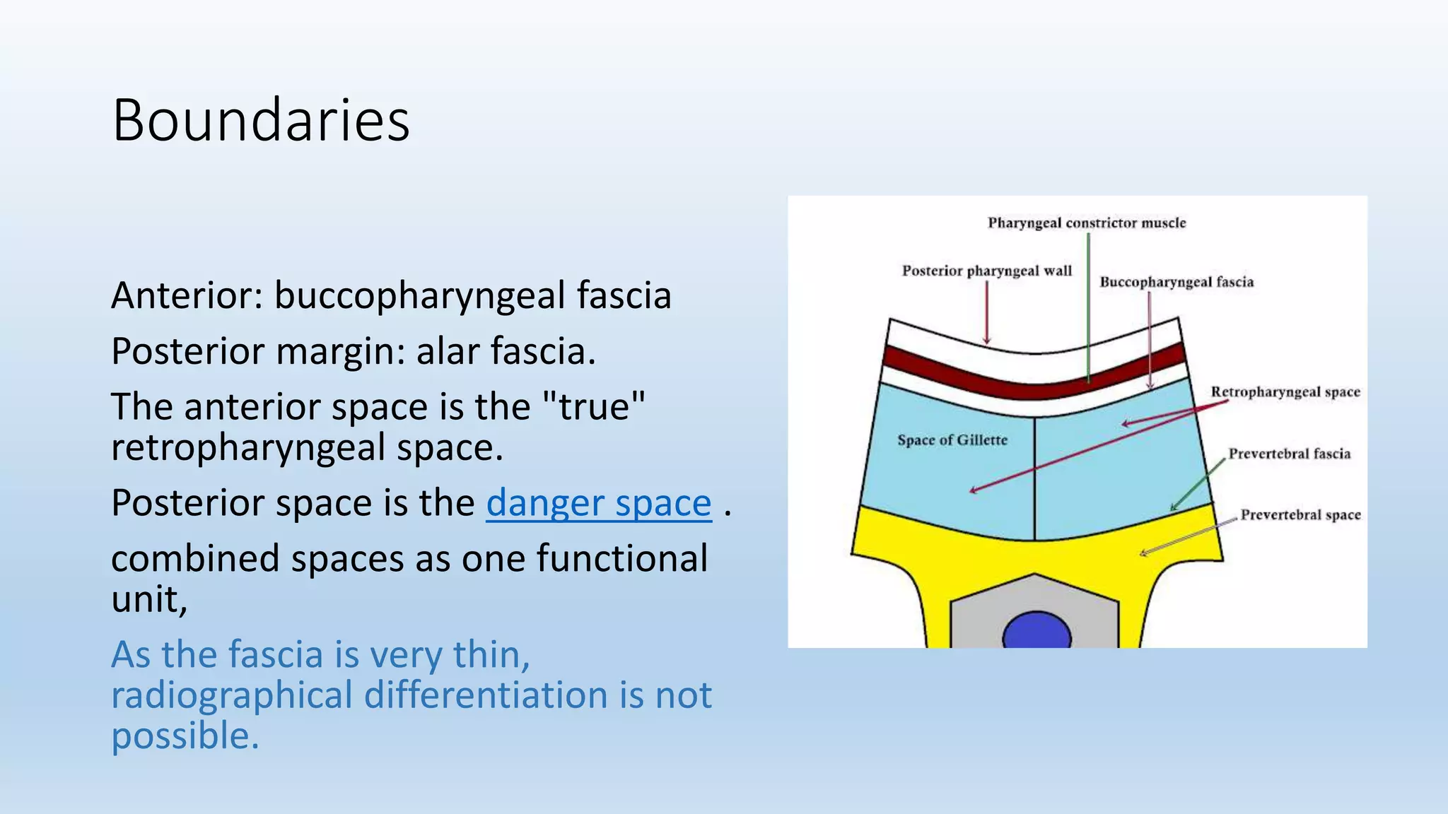 Retropharyngeal space | PPTX