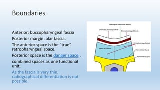 Retropharyngeal Space Boundaries