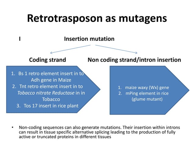 Retrotransposon and its role in plant genome evolution | PPT
