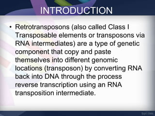 Retrotransposons | PPT