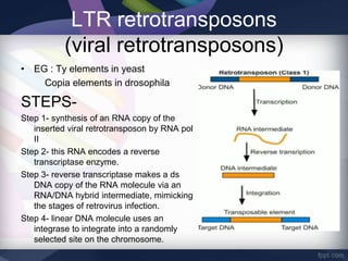 Retrotransposons | PPT