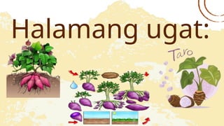 Retro Vintage Illustrative Philippine Landmarks Presentation (1).pptx