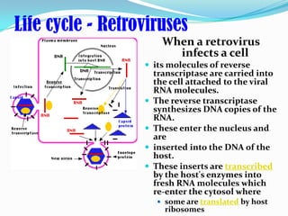 Retrovirus Life Cycle