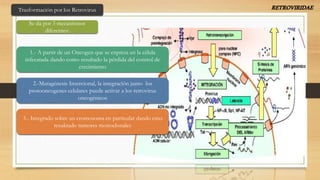 Retrovirus VIH | PPTX