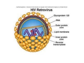 Cancer & Retrovirus | PPT