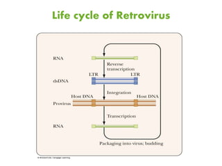 Cancer & Retrovirus | PPTX
