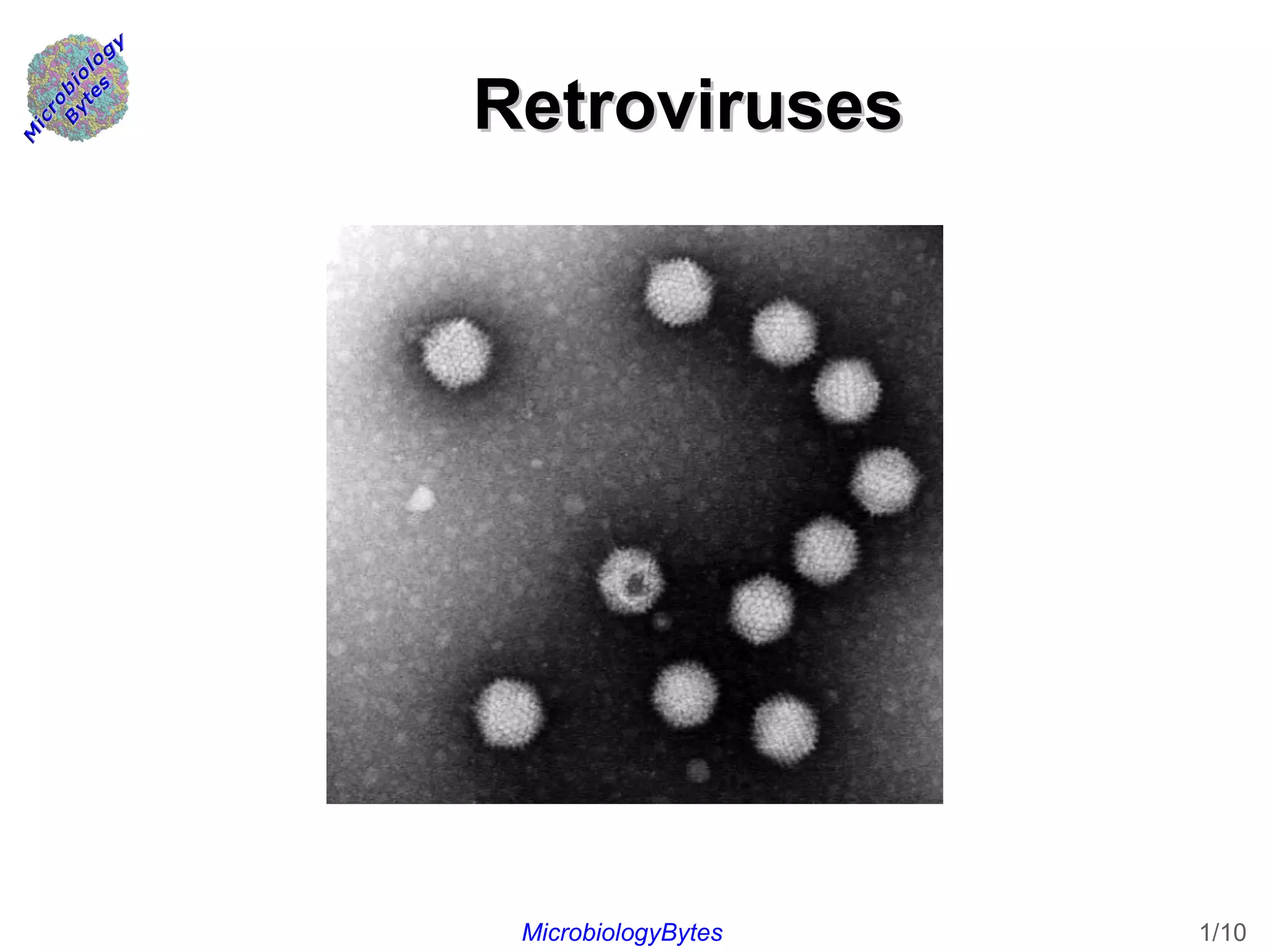 Retroviruses | PPT