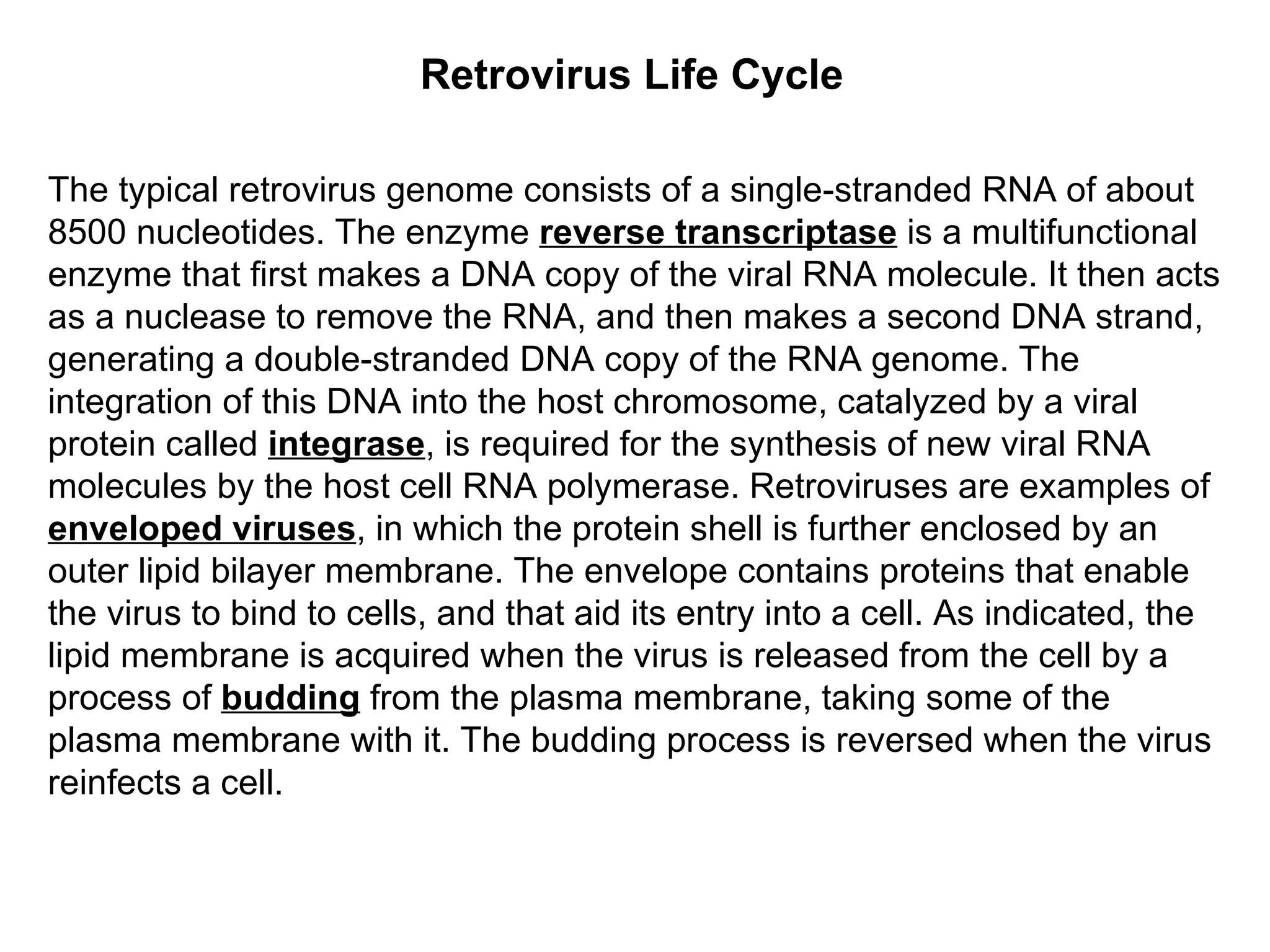Retroviruses Compressed | PPT