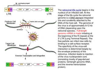 Retroviruses Compressed | PPT