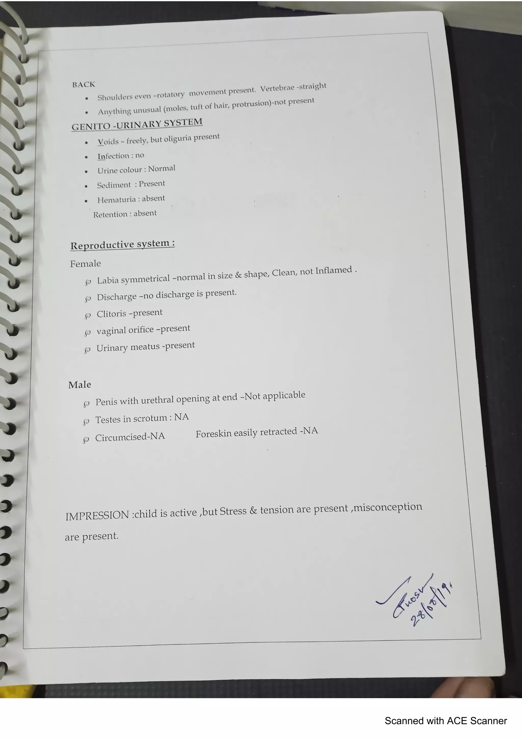 return demonstration on adolescent.pdf