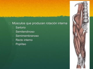 Reumatologia introduccion al miembro inferior | PPTX