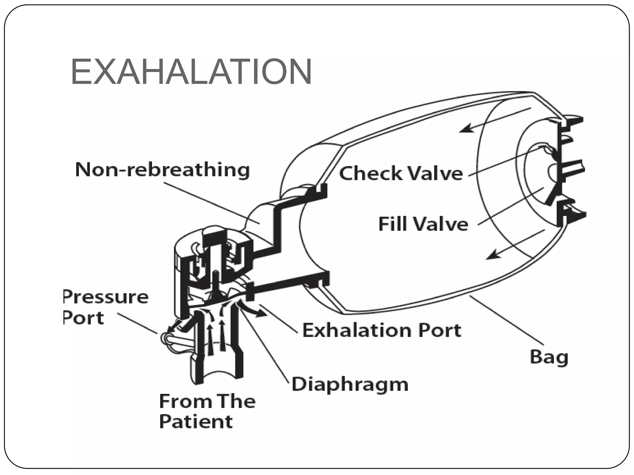 Reusable resuscitator | PPTX | First Aid | Injuries