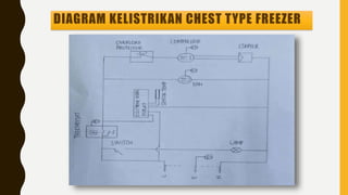 Chest Type | PPT