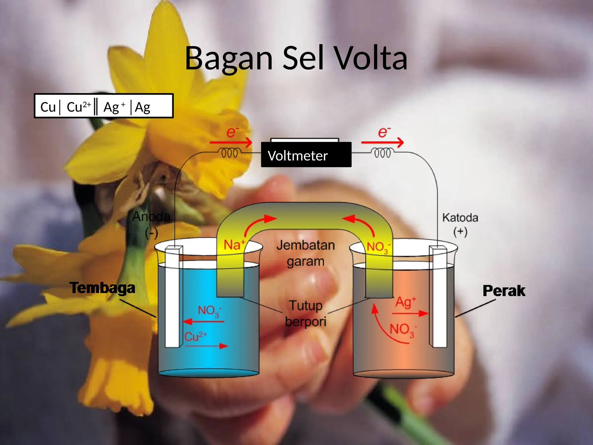Materi mengenai sel volta (belajar kimia) | PPTX