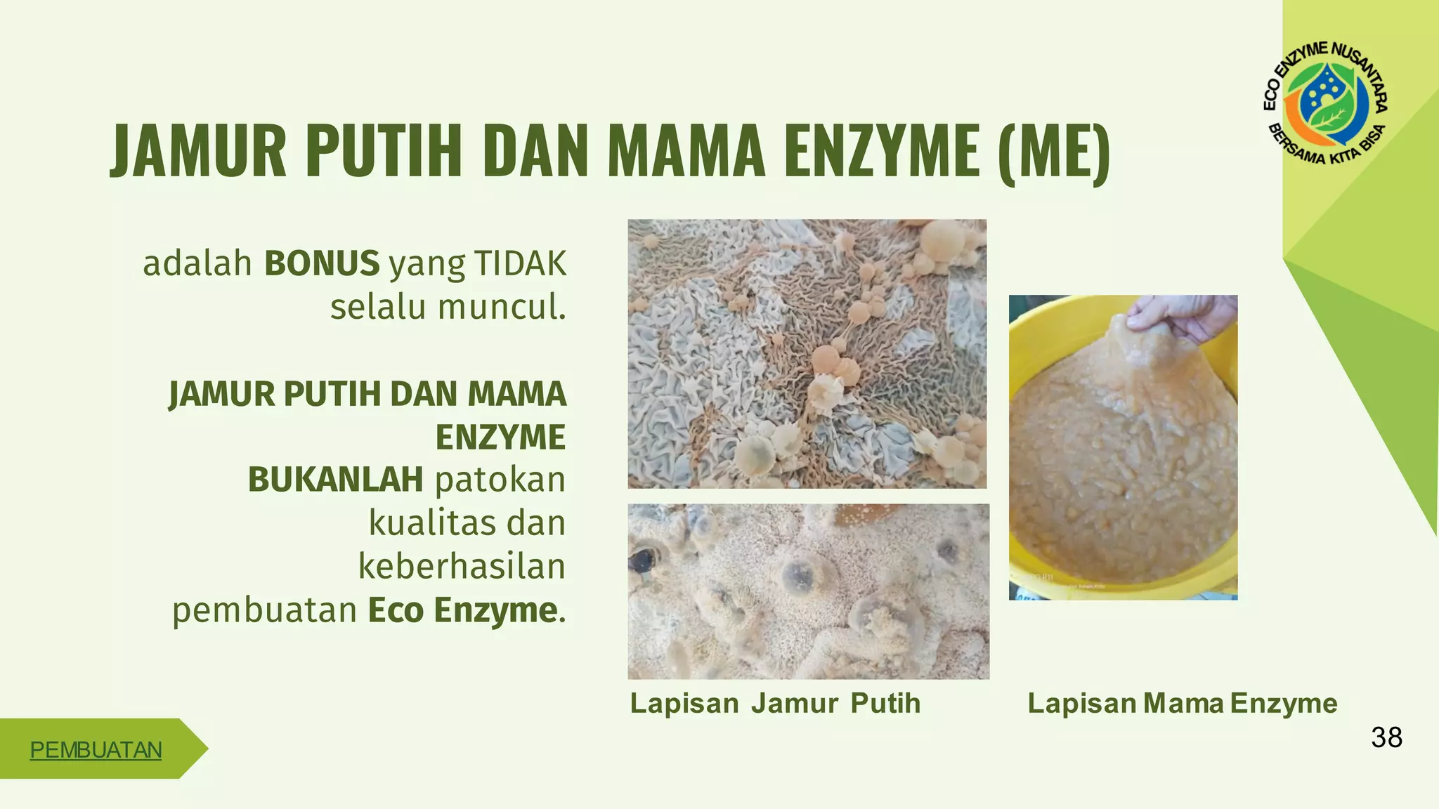 Rev 1.3 Modul Belajar Eco Enzyme Nusantara (2).pdf