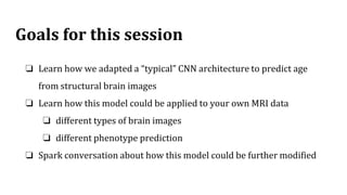 Revamped CNNs for brains | PPT